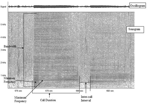 Oscillogram Upper Display And Sonogram Lower Display Showing