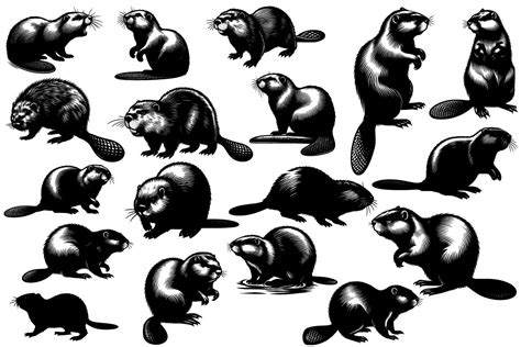 Beaver Silhouette Vector Bundle Graphic By Mash Studio · Creative Fabrica