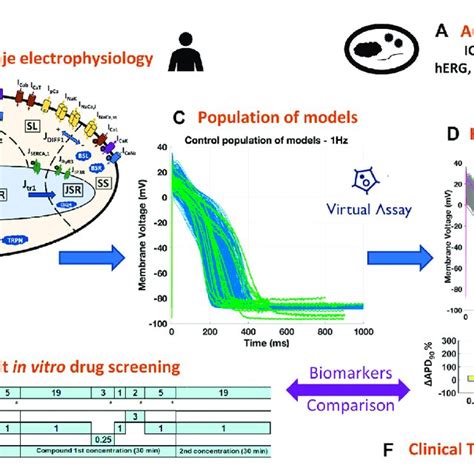 Combined Experimental Computational Pipeline Used To Perform This Download Scientific Diagram