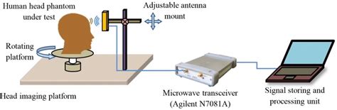 19 Schematic Representation Of The Wideband Microwave Head Imaging Download Scientific Diagram