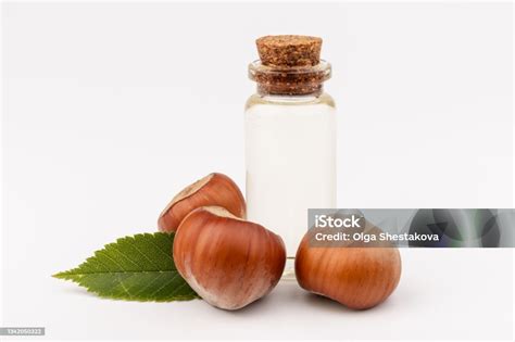 흰색 배경에 고립 된 유리 병에 헤이즐넛 오일 헤이즐넛 배경 치유 음식 갈색에 대한 스톡 사진 및 기타 이미지 갈색 개체 그룹 건강관리와 의술 Istock
