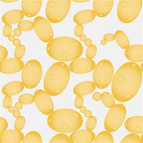 30 Yeast Budding Illustrations Royalty Free Vector Graphics And Clip Art Istock