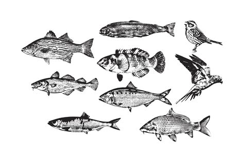 Dva Gets Wasted A Comprehensive Guide To Understanding The Phenomenon