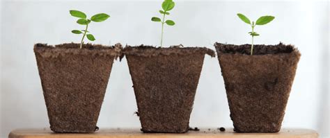 Any Hidden Gems💎 What Lesser Known Resources Boost Coding Skills Dev Community