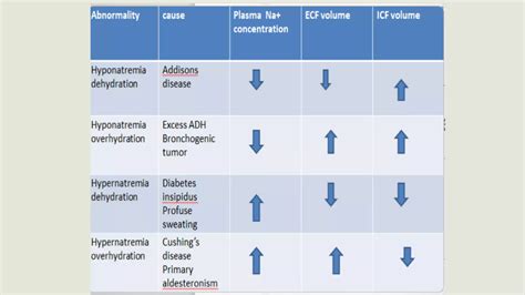 Physiology Regulation Of Body Fluids And Osmolality Renal Pdf Physiology Regulation Of Body Fluids And Osmolality Renal Pdf