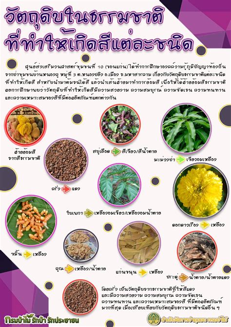 พืชสมุนไพรไทย สีจากธรรมชาติ