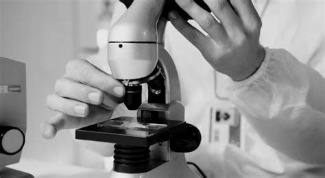 ბუნებრივი საკვები დანამატები ორგანული ვიტამინები და დანამატები Organical Ge