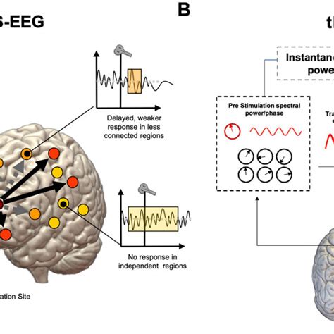 Perturbation Based Sleep Biomarkers Via Combined TMS EEG And TES EEG Download Scientific