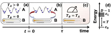 Schematic Representation Of A Standard Thermometry Protocol A The
