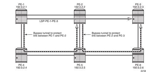 RSVP Point To Point LSPs