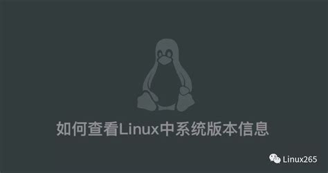 如何查看linux中系统版本信息 linux资讯