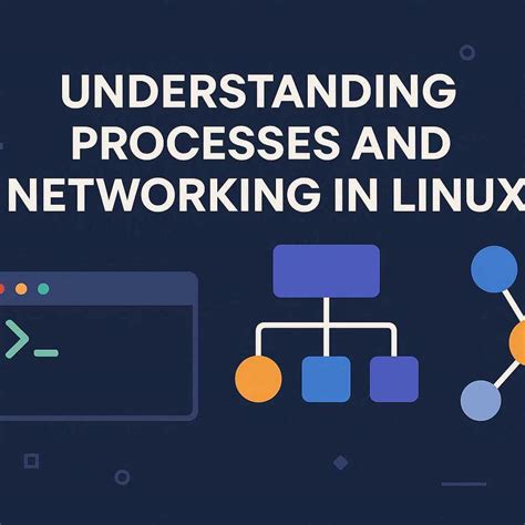 Understanding The Processes And Networking In Linux
