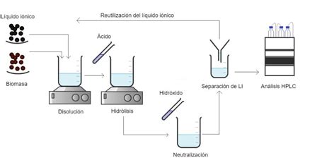Pretratamiento De Biomasa Con Líquidos Iónicos Download Scientific
