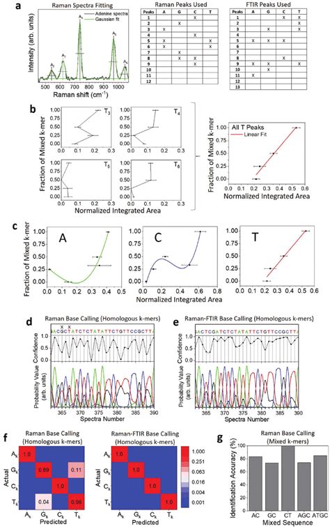 Base Calling Dna K Mer Blocks A Fitting And Characterizing Homologous Download Scientific