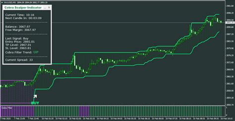Cobra Scalper Best Trading Indicator Of 2025 Forexcracked