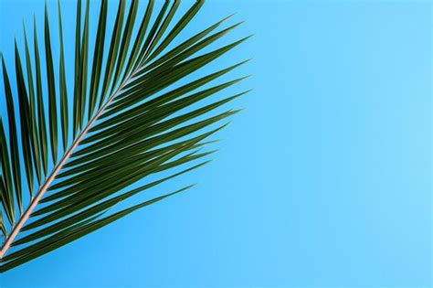 Gradient Background Bright Color Android Blue White Soft High