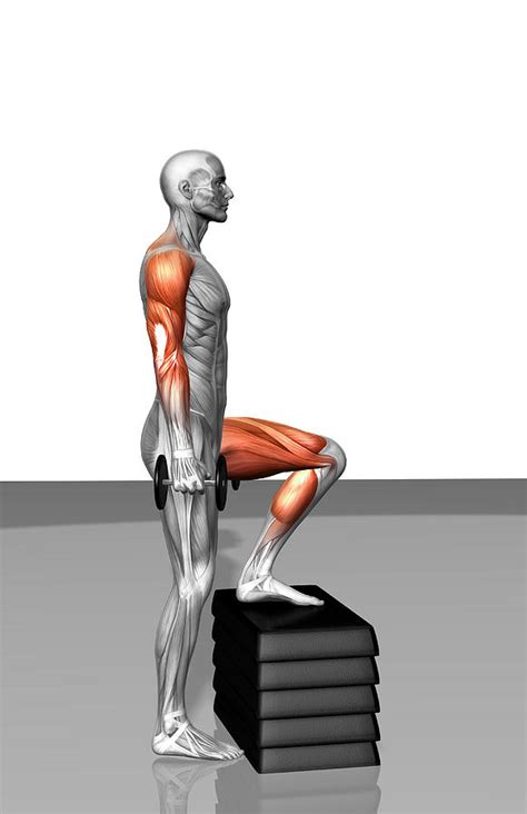 Lateral Step Up Guide How To Benefits Muscles Worked Variations