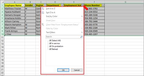 Deleting Filtered Rows With And Without Vba In Microsoft Excel