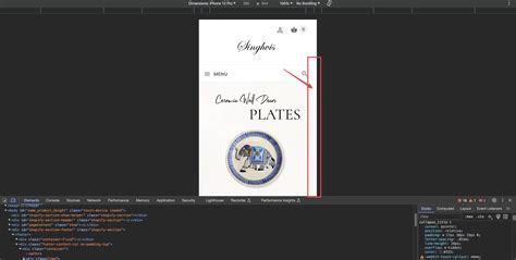 Can Someone Help Me Pinpoint What Part Of My Website Code Is Causing This White Overflow On The
