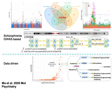 Project Liang Ma Lab