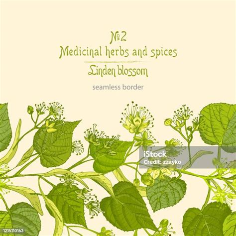 밝은 베이지 색 배경에 노란색과 녹색 색상의 꽃 삶과 분기와 린든 꽃 손으로 그려진 국경 패턴 복고풍 빈티지 그래픽 디자인 식물 스케치 드로잉 0명에 대한 스톡 벡터 아트