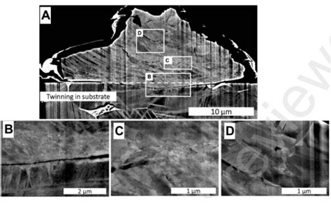 Microstructure And Adhesion Strength Of Ti Cold Spray Splats The