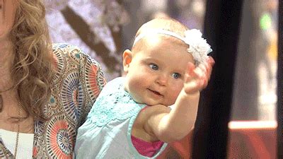 Adorable Amazing Gif WiffleGif