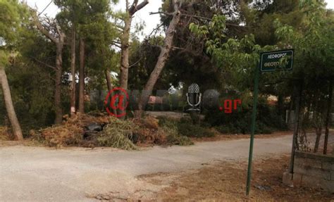 ΚΡΑΤΟΣ ΜΠ ΡΔΕΛΟ ΔΗΜΑΡΧΟΙ ΚΟΜΜΑΤΟΣΚΥΛΑ ΚΑΙ ΤΩΡΑ ΚΛΑΙΓΟΝΤΑΙ ΟΤΙ ΔΕΝ ΕΧΟΥΝ ΠΡΟΣΩΠΙΚΟ ΝΑ ΜΑΖΕΨΟΥΝ