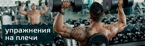 Лучшие упражнения на плечи программа тренировочного дня