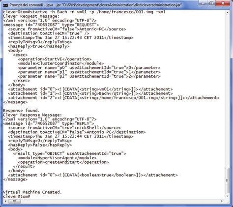 requesting a vm instantiation using the debug mode download