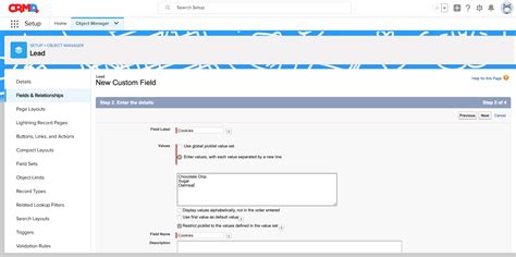 How To Create Picklist Fields In Salesforce Crmd Salesforce Consultants