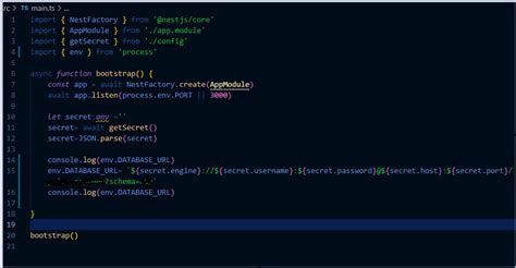 Is There A Way To Set The Environment Variable From Code And Have