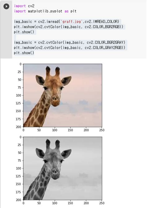 파이썬 Opencv 이미지 불러오기 읽기 저장하기 네이버 블로그