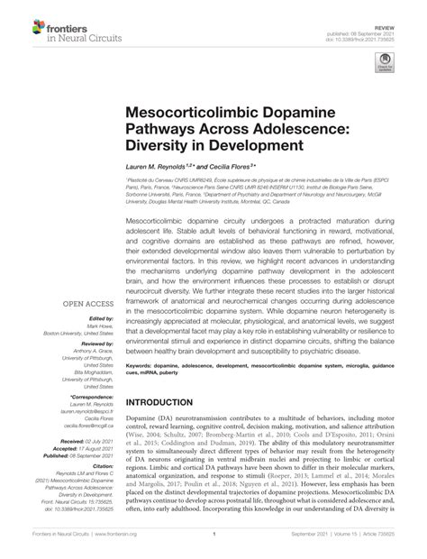 Pdf Mesocorticolimbic Dopamine Pathways Across Adolescence Diversity In Development
