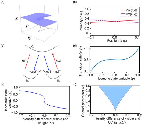 Catastrophe Theoretical Model Of Boundary Formation A Cusp Download Scientific Diagram