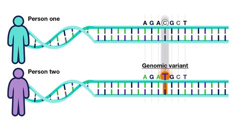 Polygenic Risk Score What Is It Good For