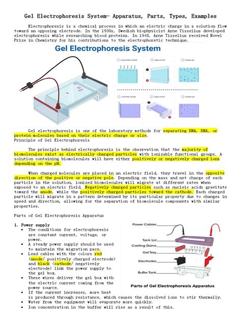 Gel Electrophoresis A Comprehensive Guide To The Principles Parts Types And Applications Of