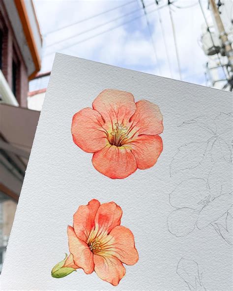 모‘든곳에 있는 ‘소소한 것들 흔한행복 On Instagram 하늘 오랜만이야 요즘 담벼락에 많이 보이는 능소화에요 수업자료로 그리는 중입니다 망리단길 끄트머리