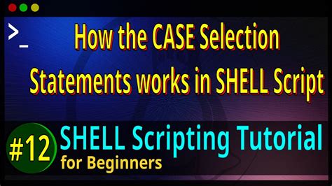 12 How The Case Esac Statements Work In Bash Shell Script Youtube