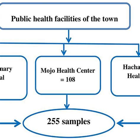 Schematic Presentation Of Sampling Procedures For Womens Satisfaction Download Scientific Schematic Presentation Of Sampling Procedures For Womens Satisfaction Download Scientific