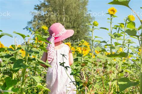큰 분홍색 모자 태양에서 모자를 쓴 소녀 한 아이가 해바라기의 커다란 꽃 들 사이에 서 있다 4 5세에 대한 스톡 사진 및 기타 이미지 Istock