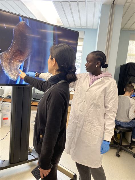 Bridging Disciplines Impacts Of Environmental Chemicals On Physiology