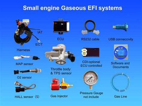 Small Engine Efi Ecotrons