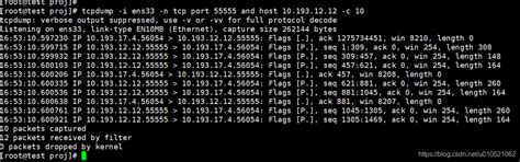 【linux】【tcpdump】linux之tcpdump抓包及wireshark分析详解微橙的博客 Csdn博客linux