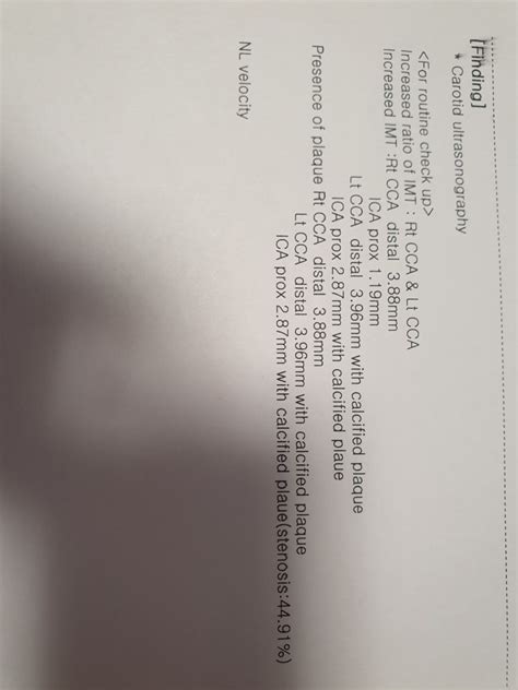 경동맥 초음파 해석 좀 부탁드려요 지식in