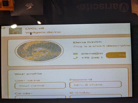 Lvgl Light And Versatile Graphics Library Software Tmpdir