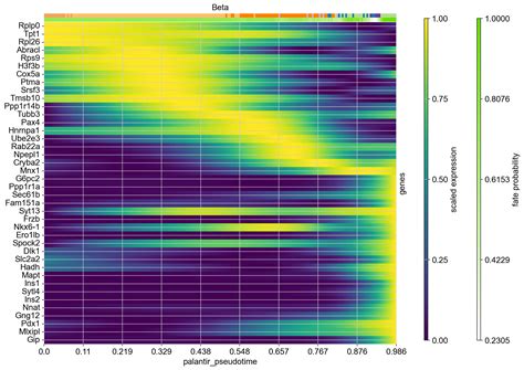 Visualizing And Clustering Gene Expression Trends Cellrank Documentation