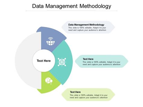 Data Management Methodology Ppt Powerpoint Presentation Outline Format Cpb
