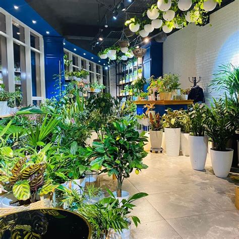 🌼spider Chrysanthemum Манай худалдаанд бэлэн байна🥰 Материал хийц маш гоётой мөн өөрөөсөө