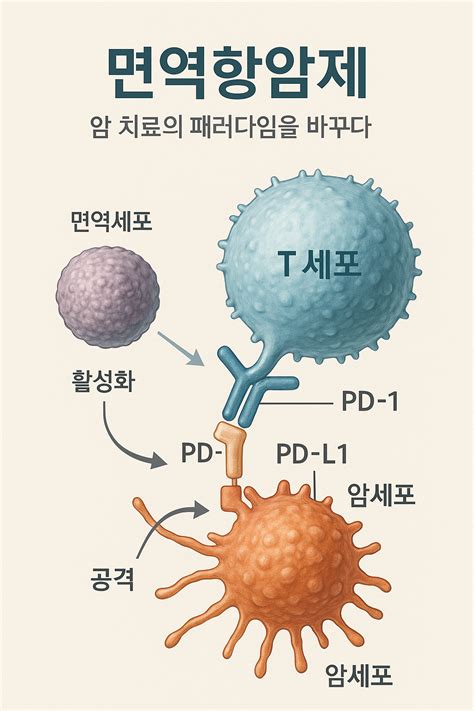 면역항암제 암 치료의 패러다임을 바꾸다